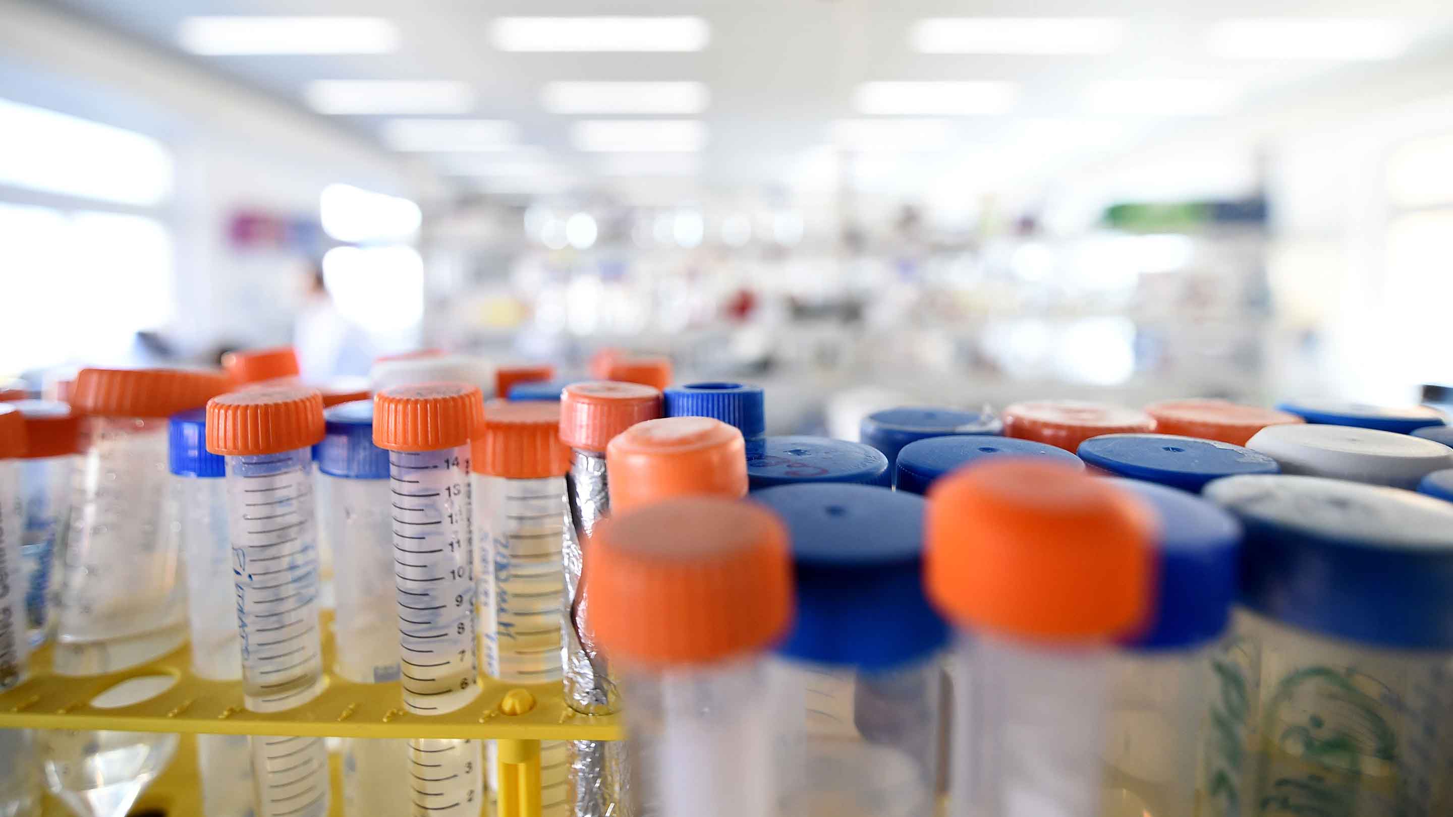 Pfizer Prize 2019: accolades for researchers in Ticino